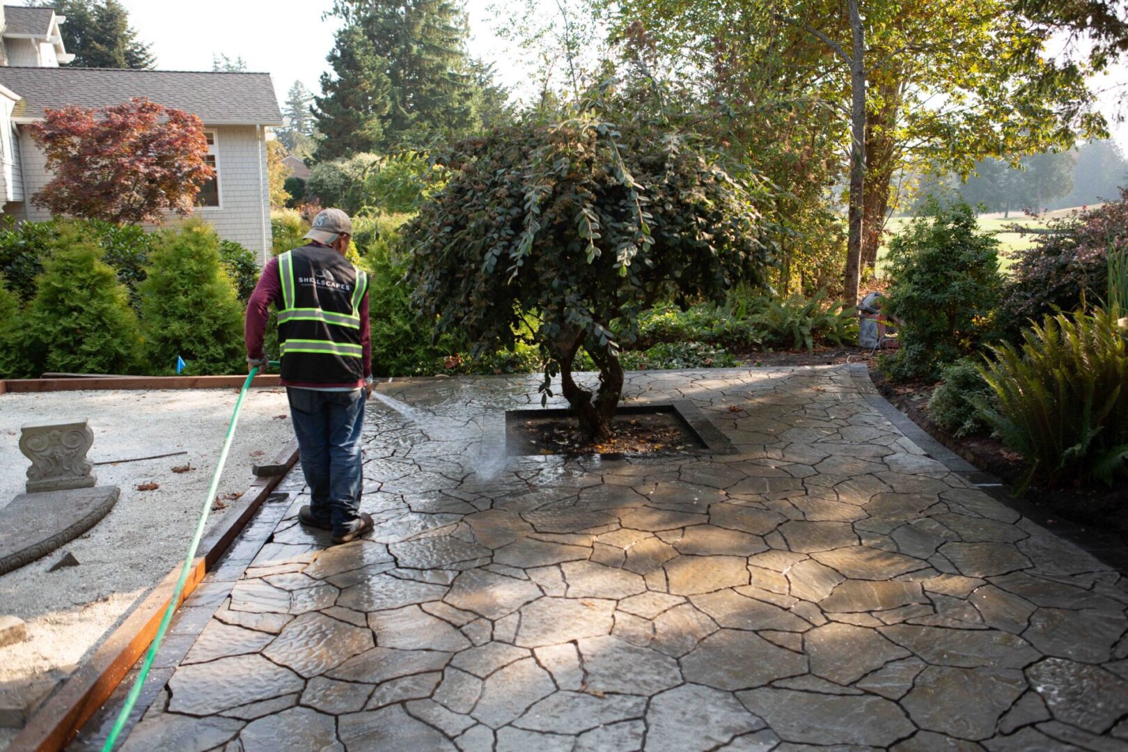 SHELLSCAPES | Seattle | Washington | Pavers