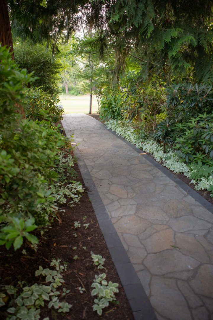 SHELLSCAPES | Seattle | Washington | Pavers